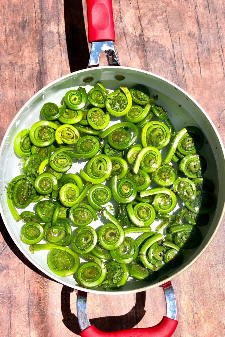 Fiddleheads - A Delicious Spring Delicacy - HOORAH to Health