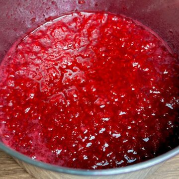Raspberry Puree - HOORAH to Health