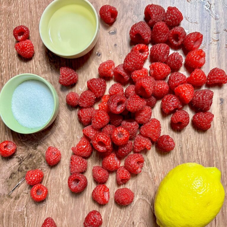 Raspberry Puree - HOORAH to Health